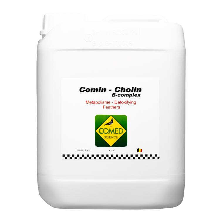 Comin-Cholin B-Complex Pigeon – Comed